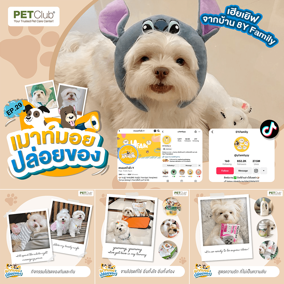 EP.29 เฮียเยิฟ จากบ้าน 8Y Family - petclub