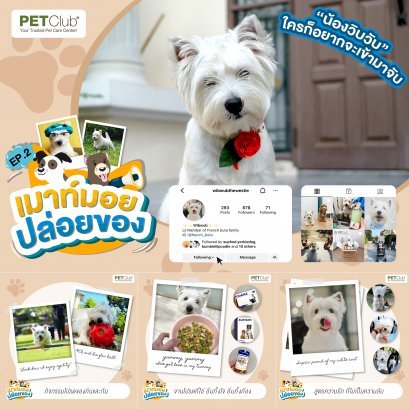 EP.2 Wibwub the Westy - petclub