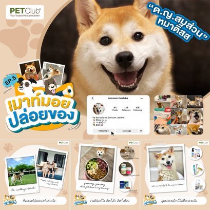 EP.5 ด.ญ.สมส่วน หมาติ๊สสส - petclub