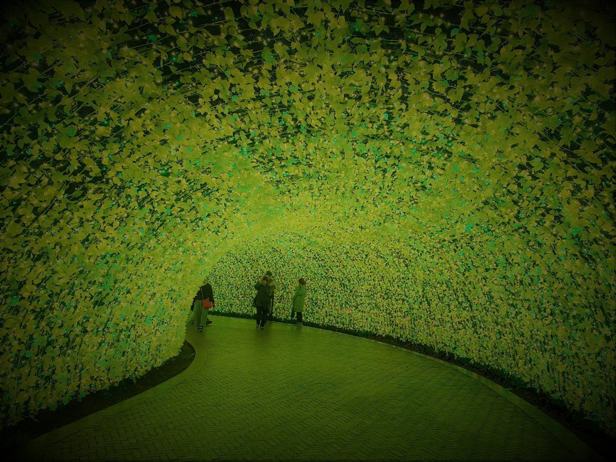 หลุมพรางของเป้าหมาย - thepatternscanner