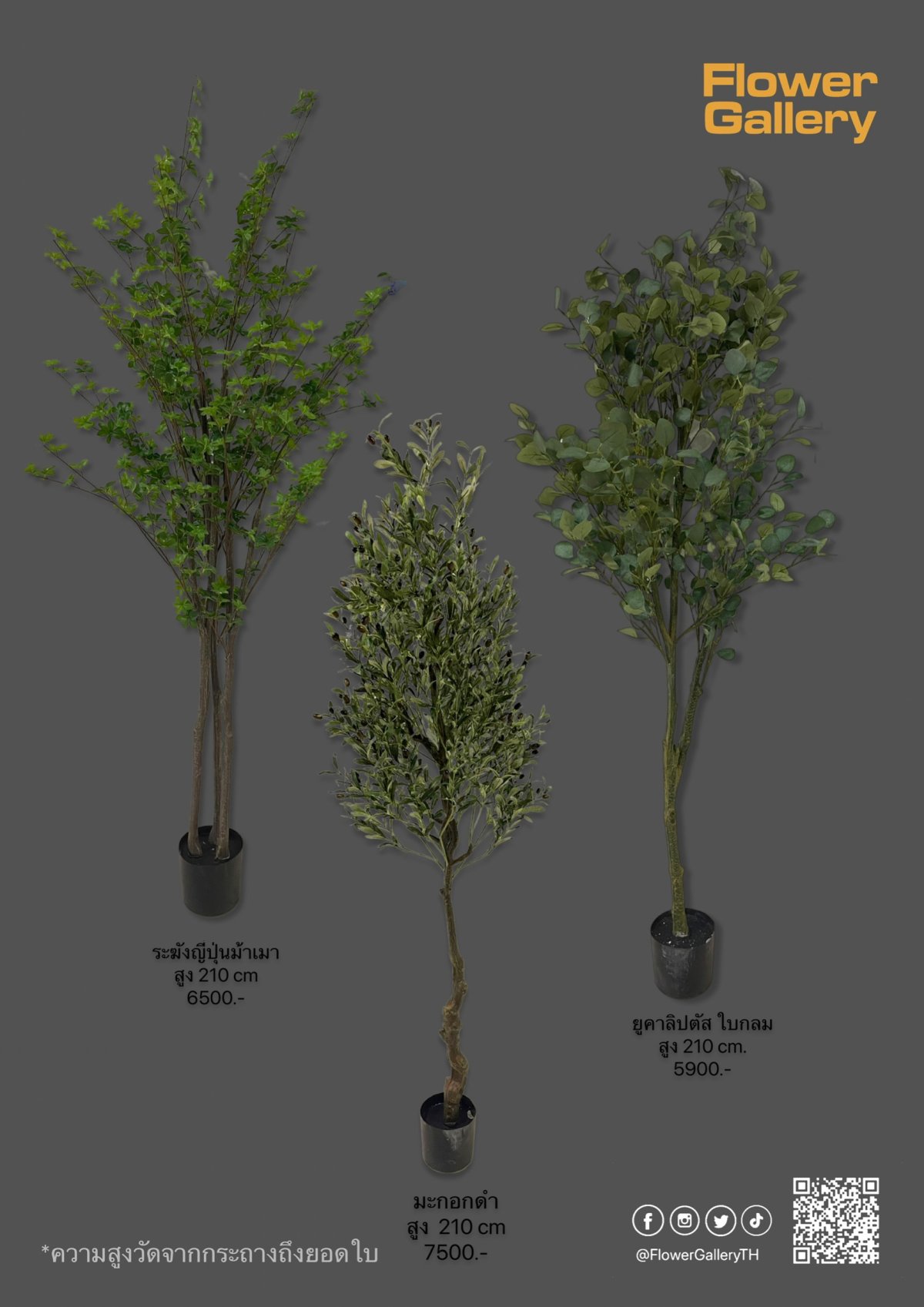 Japanese Bell, Eucalyptus, Black Olive - flowergallery