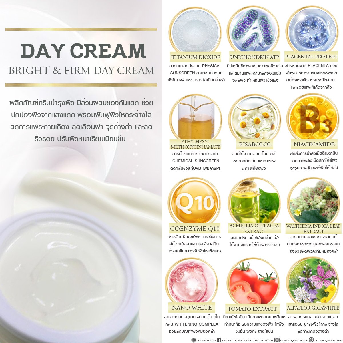 Bright & Firm Day Cream - naturalcosmecs