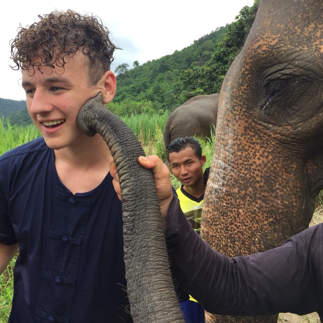 Full Day visit and Support at Eco Elephant Care