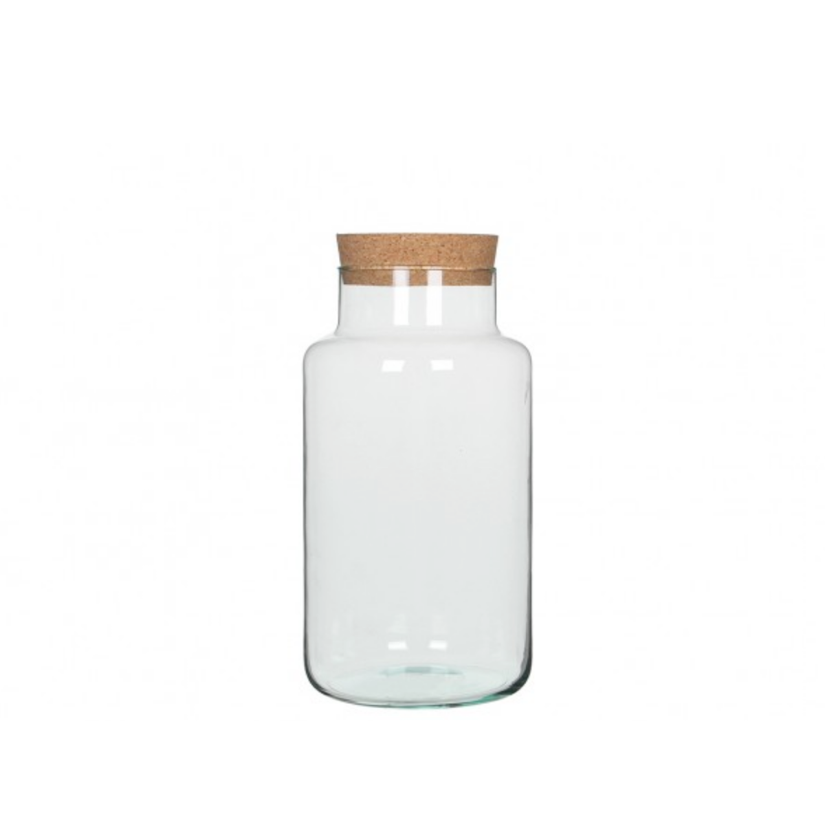สวนขวดแก้ว Terrarum chela 19 x 36 ซม. สีใส - M S Natural Design
