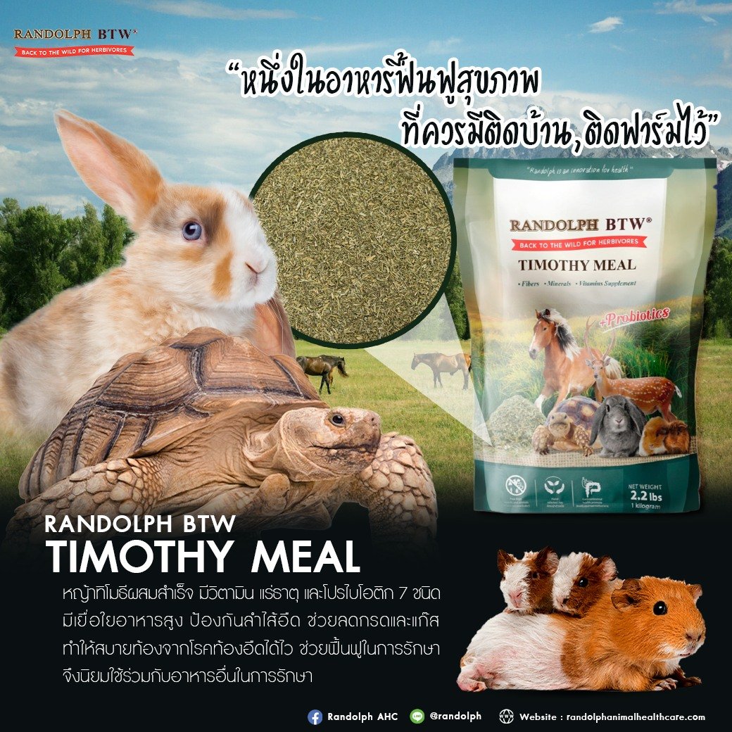 Randolph Timothy Meal หนึ่งในอาหารฟื้นฟูสุขภาพที่ควรมีติดบ้าน,ติดฟาร์มไว้
