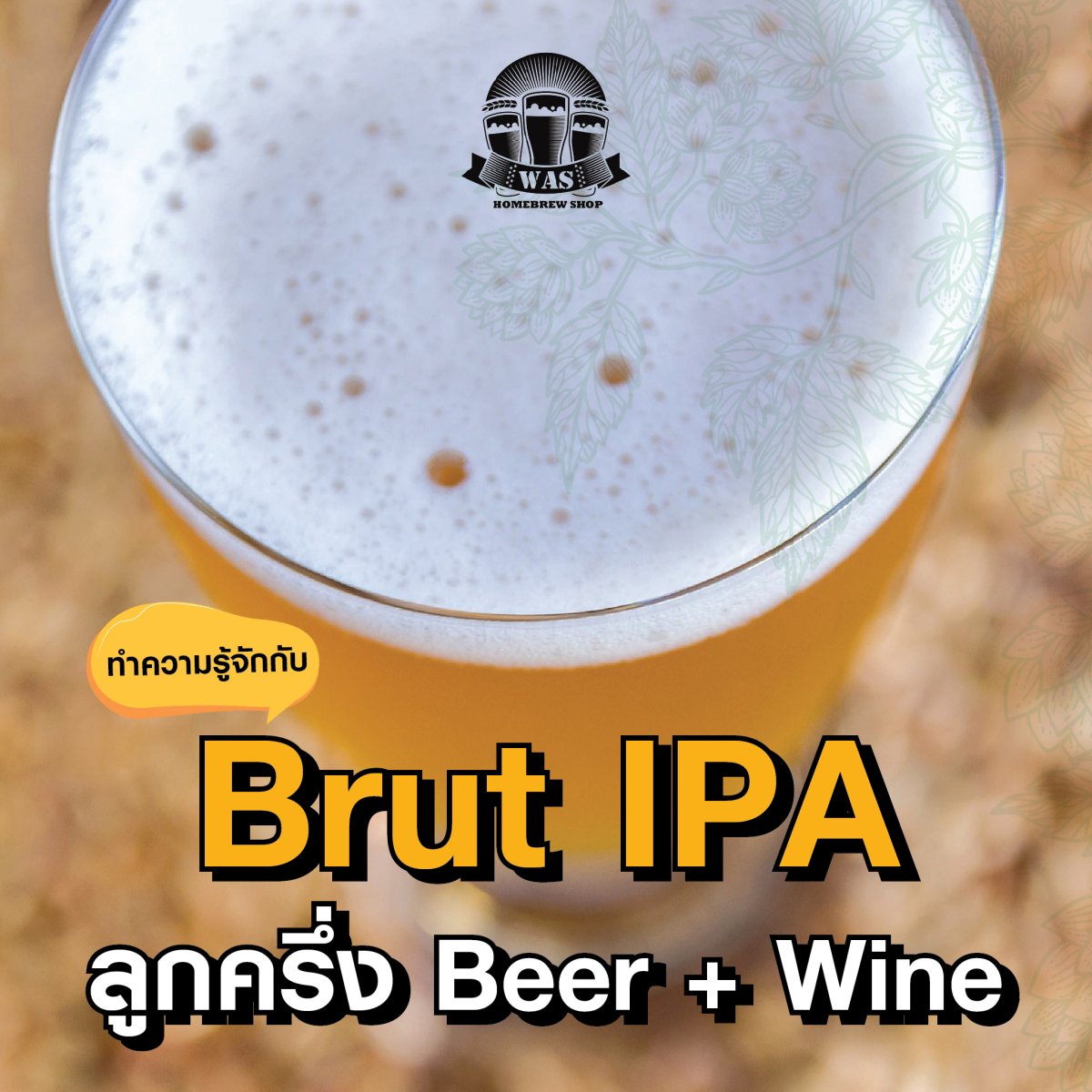 ฺBRUT IPA การผสมผสานของ BEER และ WINE ที่ลงตัว ที่คุณก็ ทำเบียร์ เองได้ ...