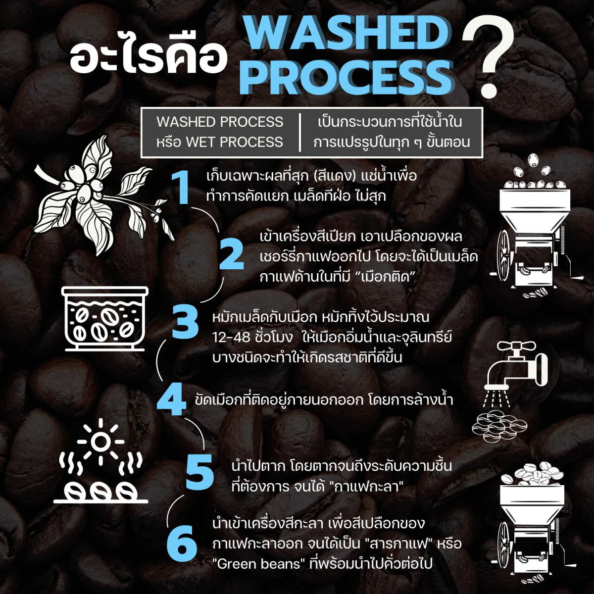 อะไรคือ Washed Process