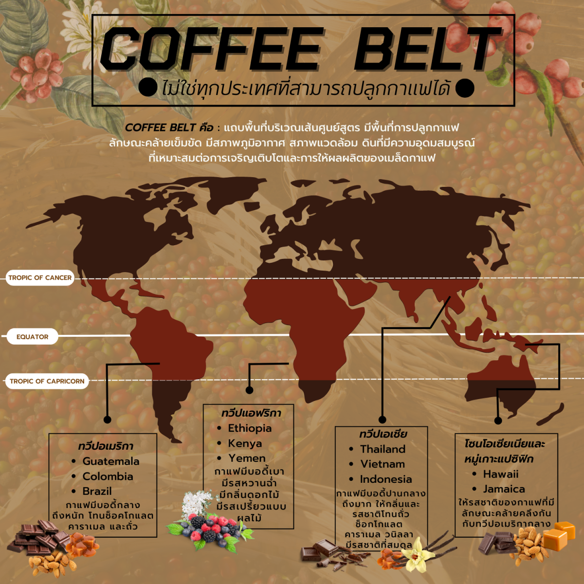 Coffee Belt แหล่งปลูกเมล็ดกาแฟของโลก - baramiocoffee