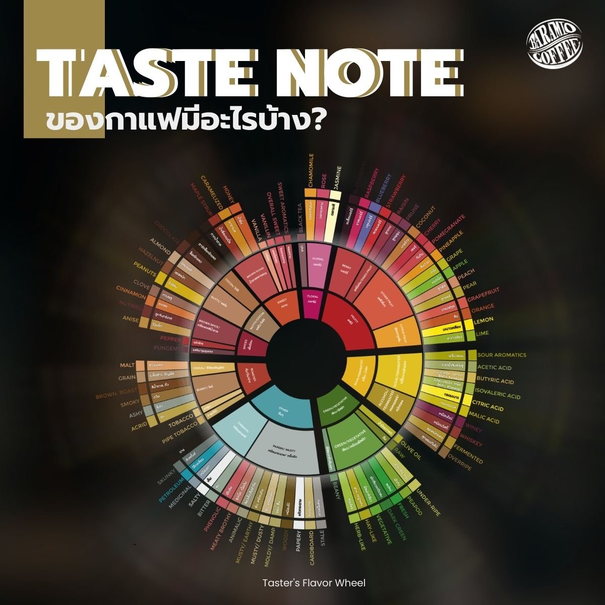 Taste note ของกาแฟมีอะไรบ้าง?