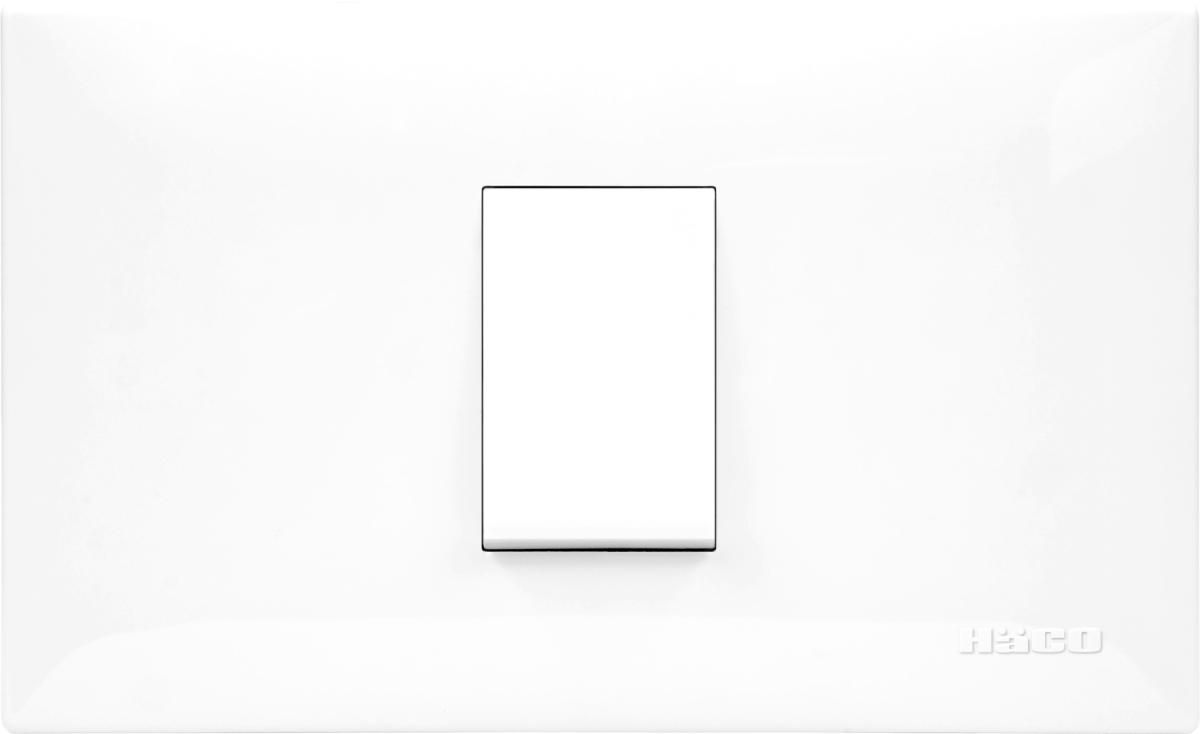 1 Gang 2 Way Switch 1 Module with Frame