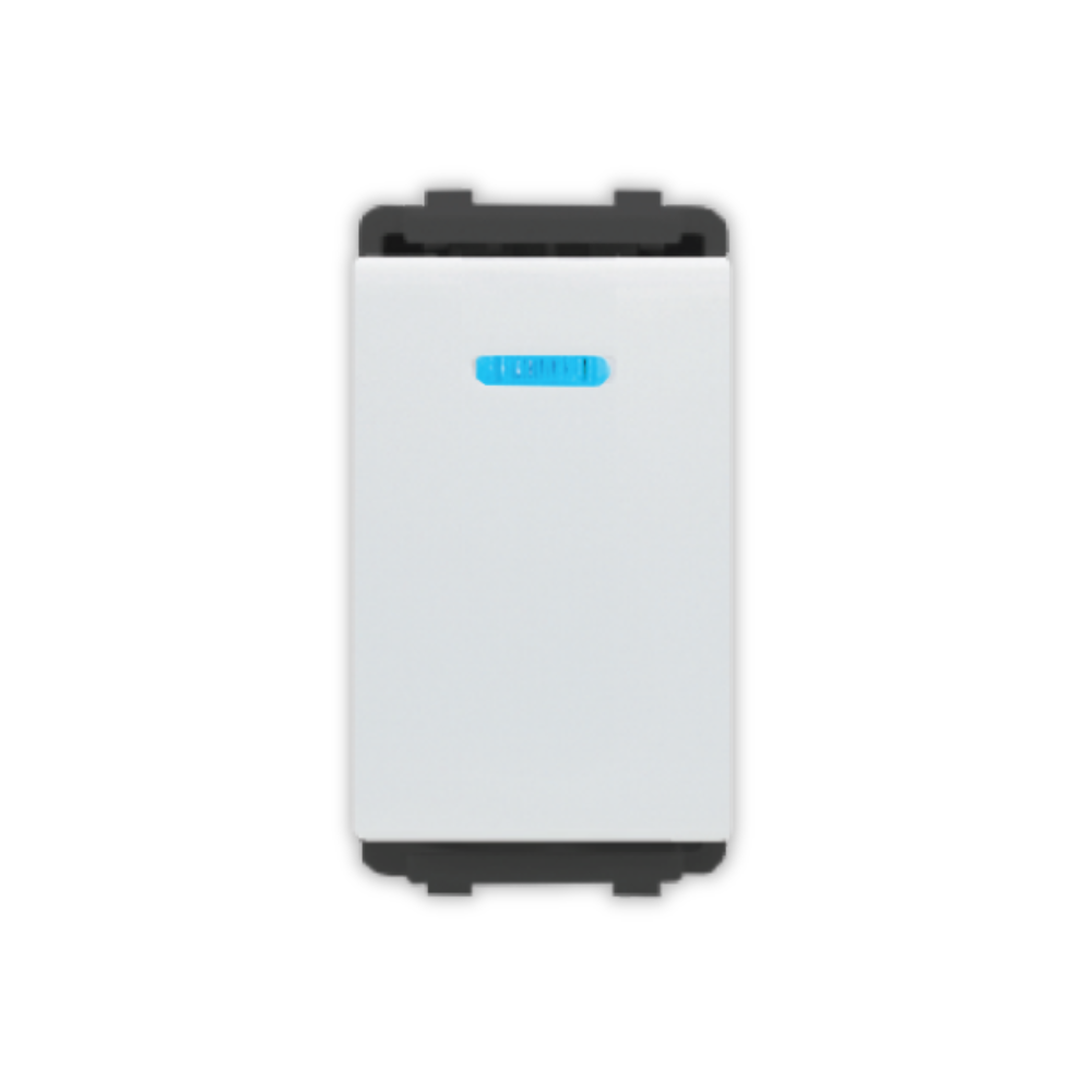 2 Way Switch 1 Module with Blue LED