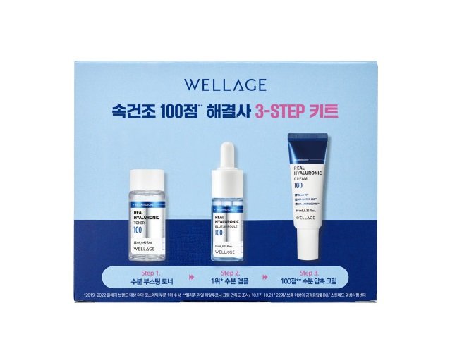 WELLAGE Quick-Drying 100 point Solution 3-step Kit - testerkorea