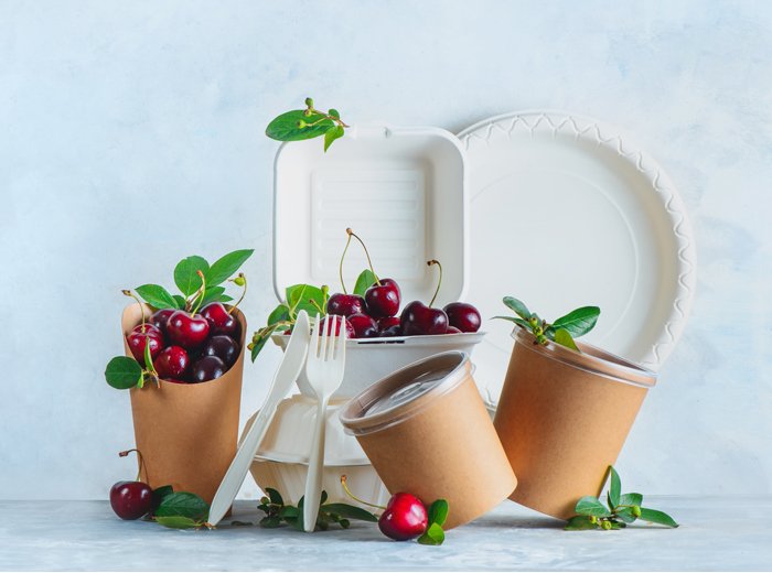 Bio 24: A 24-hours Decomposes Plant-based Single-use Packaging