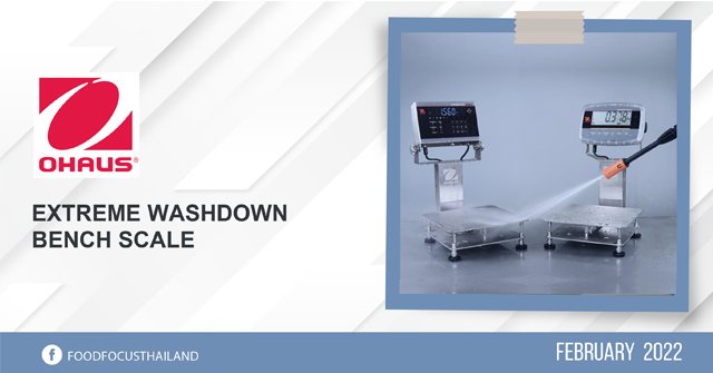 EXTREME WASHDOWN BENCH SCALE