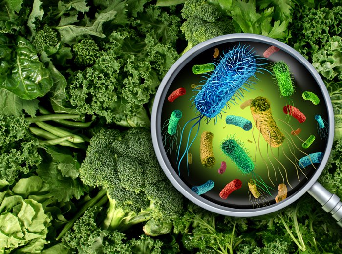 Positive Impacts of Efficient Spoilage Control in Food Manufacturing