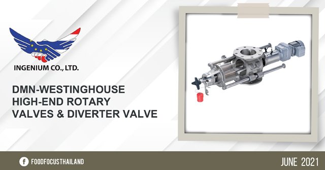 Ingenium DMN-WESTINGHOUSE High-end Rotary Valves & Diverter Valve