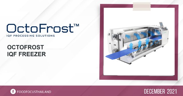 OctoFrost IQF Freezer