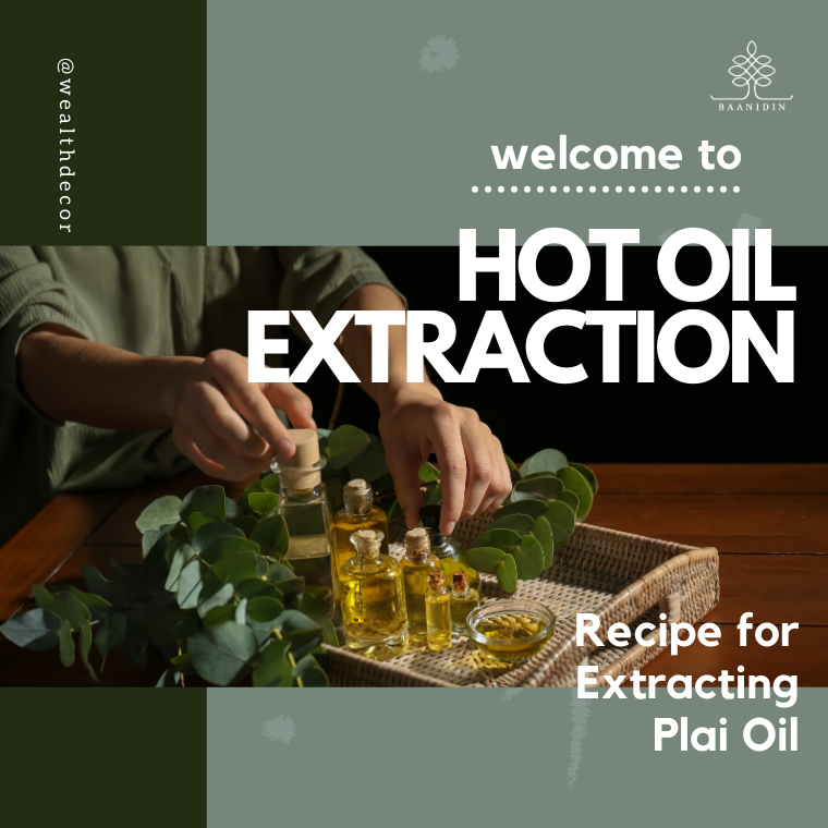 Hot Oil Extraction and Premium Plai by Baanidin