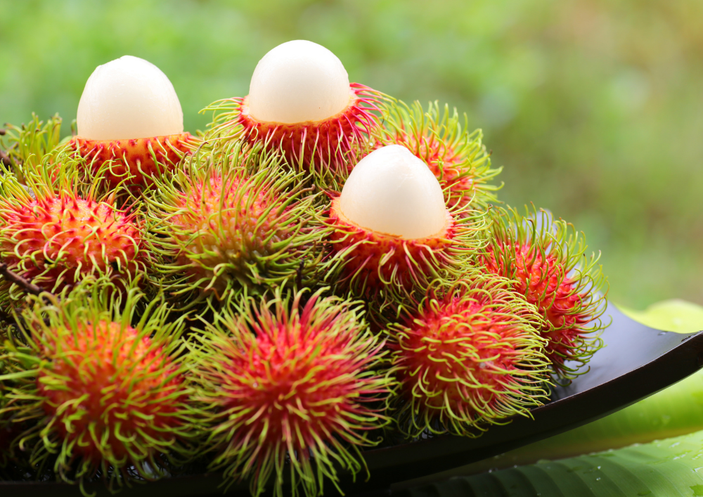 RAMBUTAN