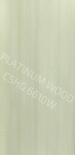 CSHG 6610W - ptw2006