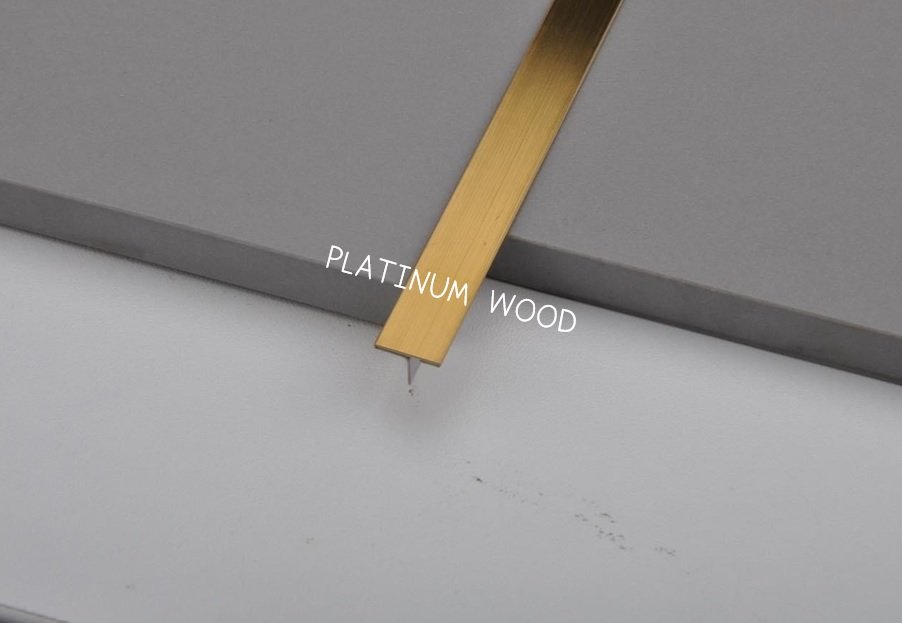 Stainless T Shape - ptw2006