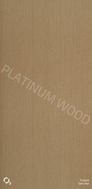 T1601S Oak One - ptw2006