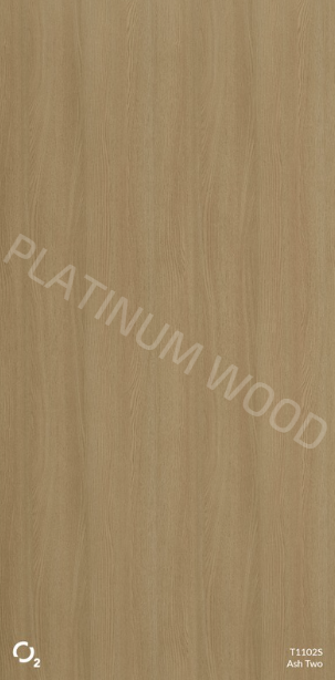 T1102S Ash Two - ptw2006