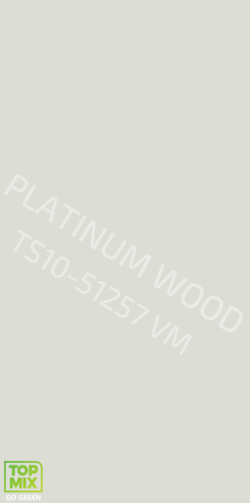 TS10-51257 VM LIGHT GREY (4x10 Ft.)