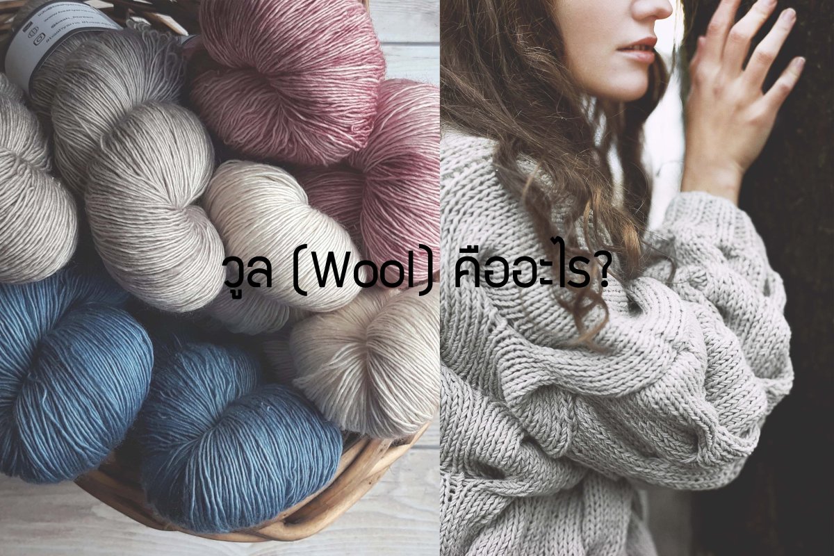 ผ้าวูล (Wool) คืออะไร ใส่ในอากาศแบบไหนถึงจะเหมาะ! สบายๆ คลายหนาว