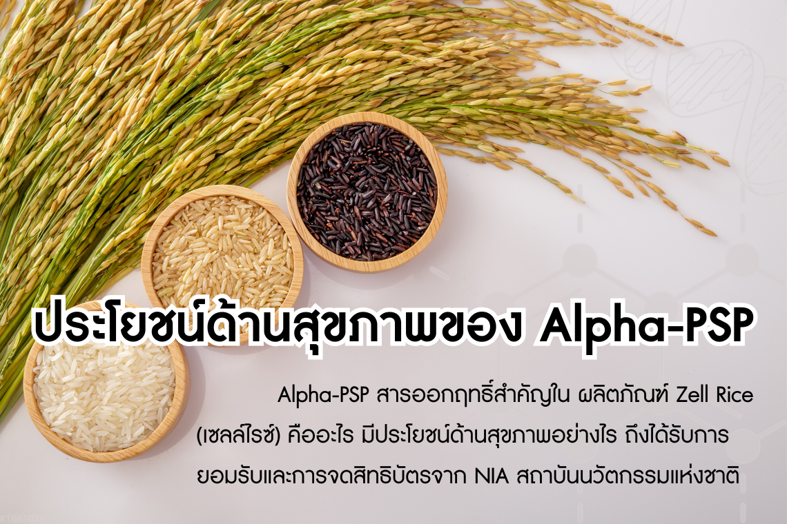 ประโยชน์ด้านสุขภาพของ Alpha-PSP สารออกฤทธิ์สำคัญในเซลล์ไรซ์