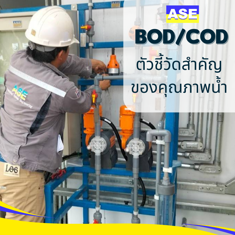 Biochemical Oxygen Demand(BOD)และChemical Oxygen Demand(COD)