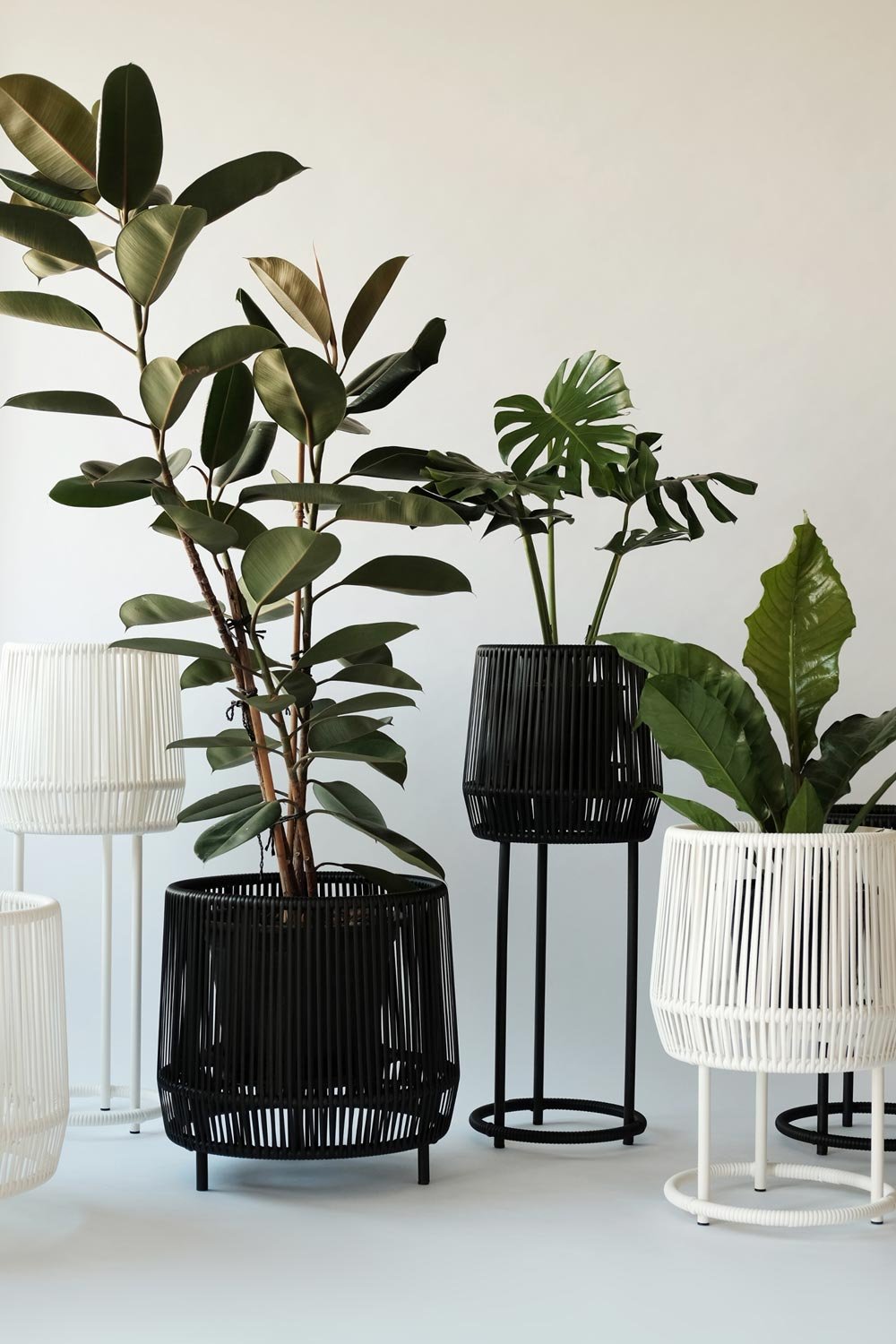 SPUTNIK Black - gardenatlas