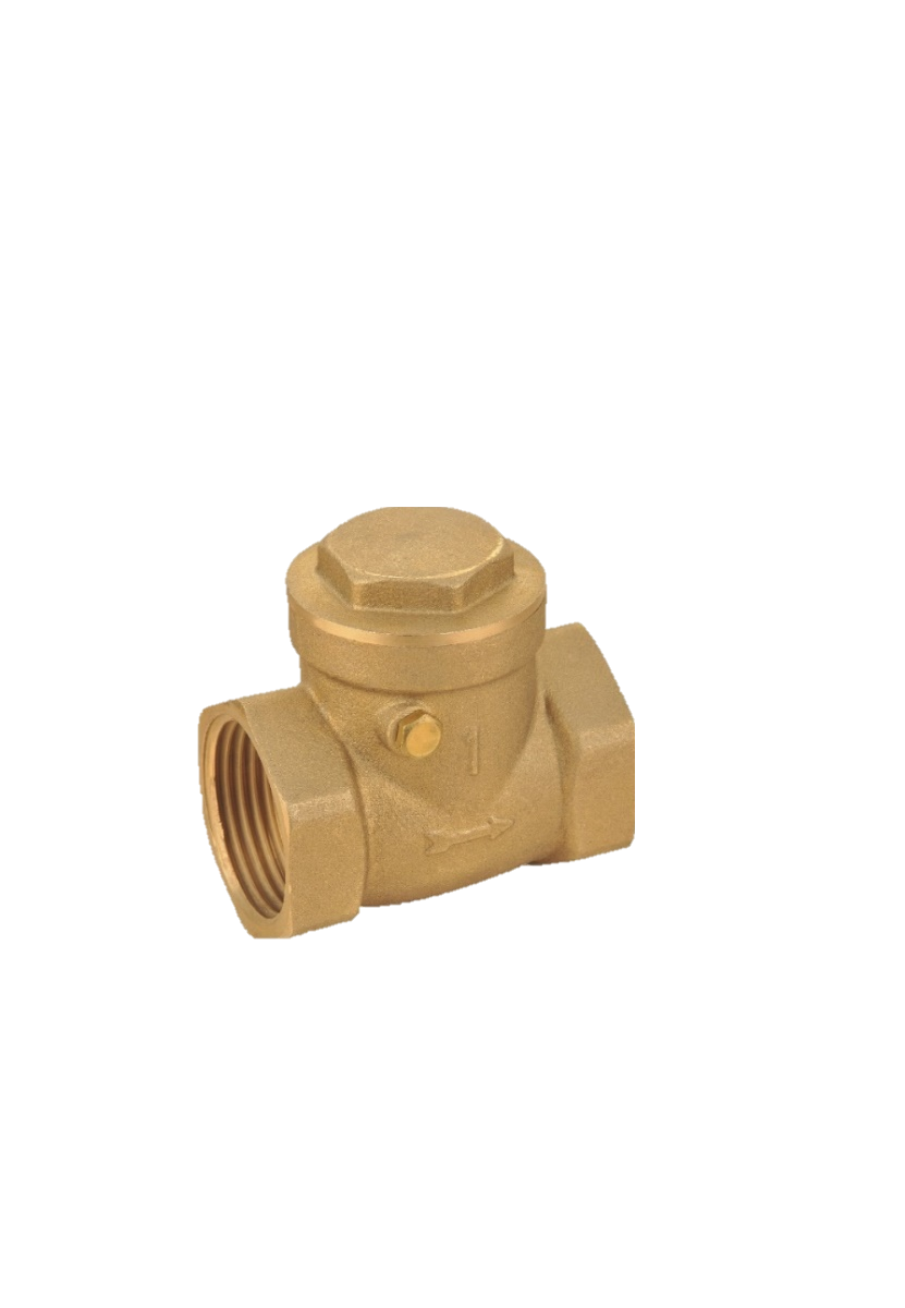SUPER X - Brass Swing Check Valve