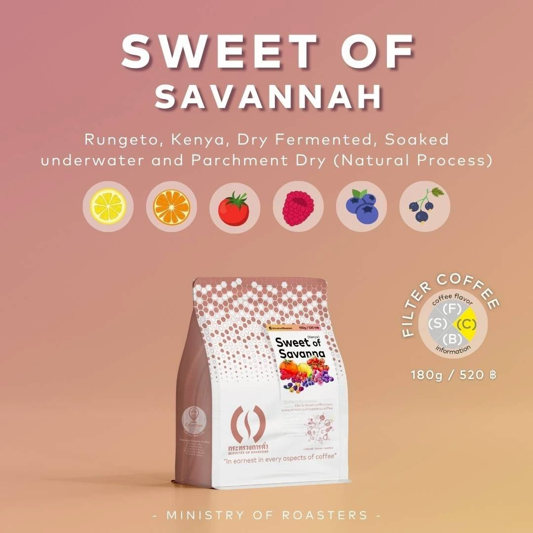 Keny Sweet of Savannah - ministryofroasters