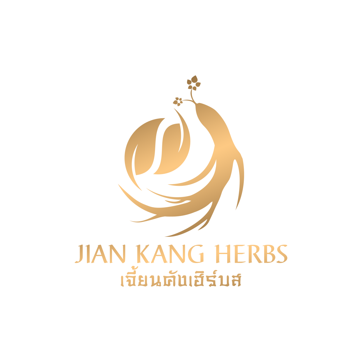 เครื่องยาอาหารจีนและไทย - jiankangherbshop