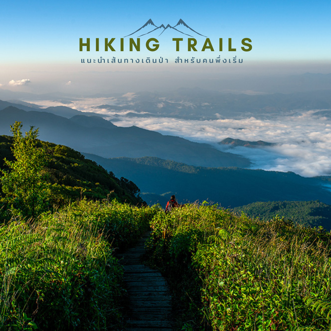 แนะนำเส้นทางเดินป่า สำหรับ คนพึ่งเริ่ม Hiking Trails