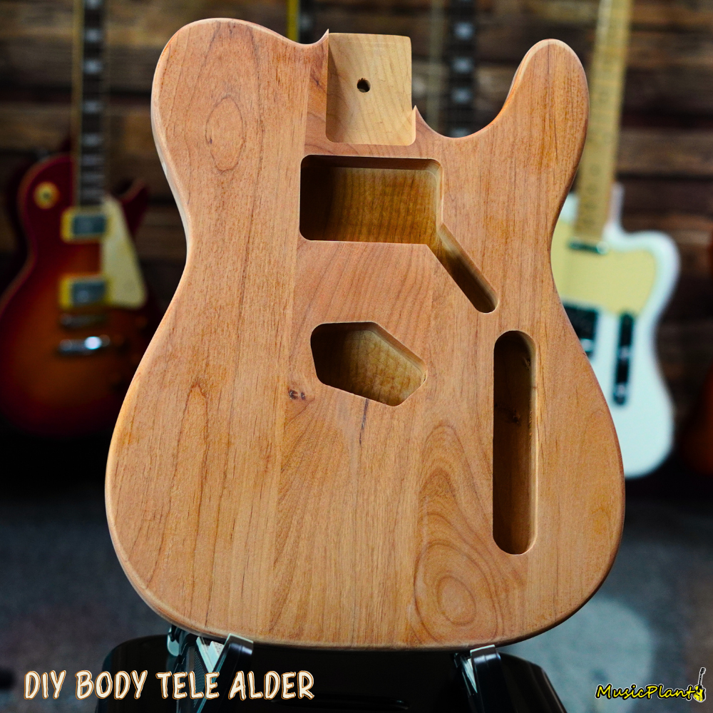 DIY Guitar บอดี้ทรง Telecaster (American Alder) - musicplant