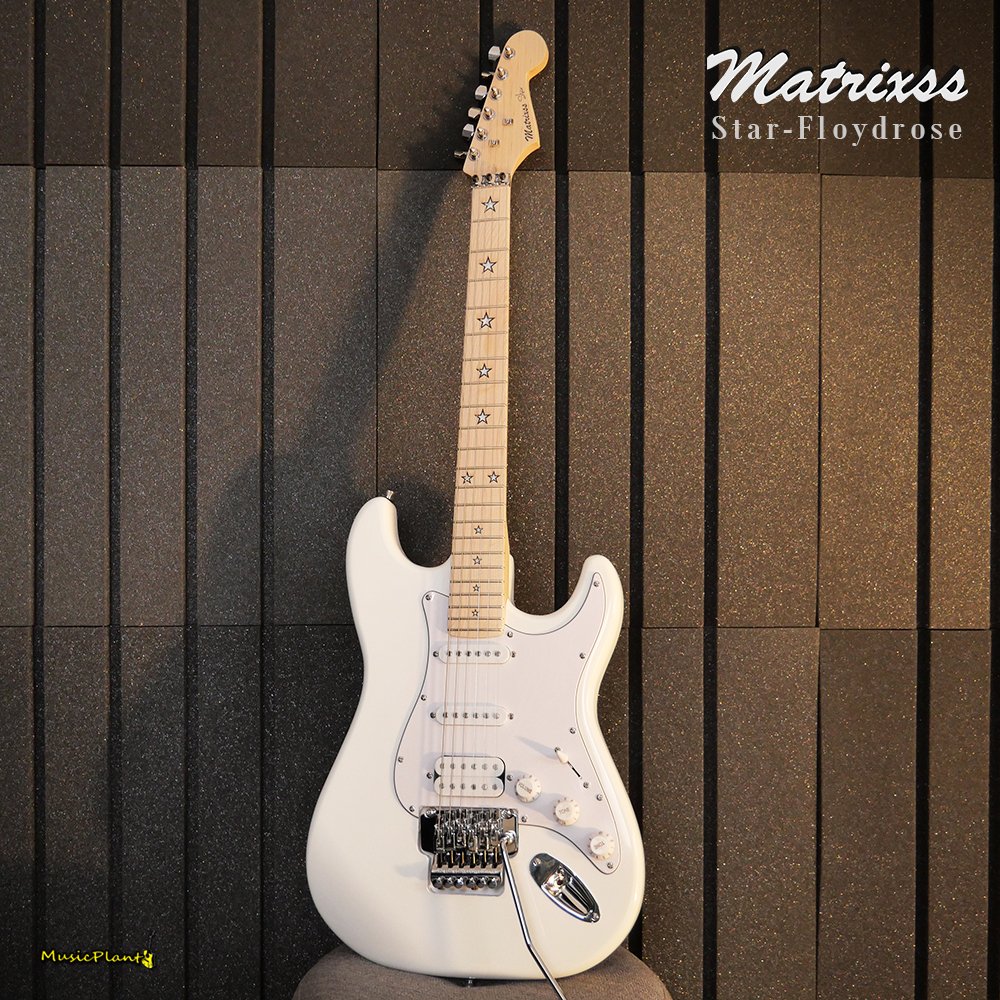 Matrixss: Star Floydrose, Electric Guitar