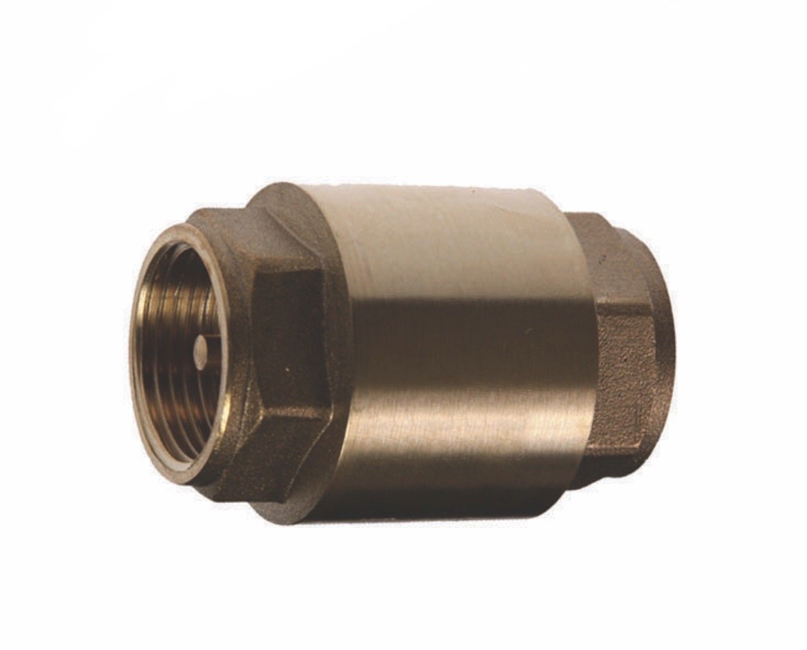 ARITA Brass Spring Check Valve, BSPT