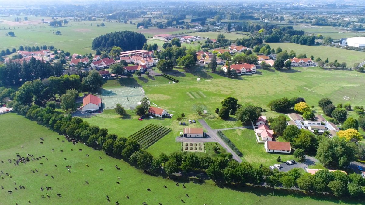 St Peters Cambridge School