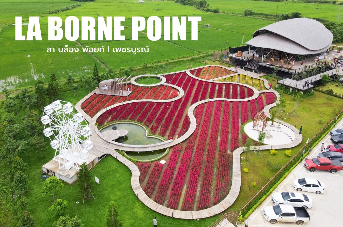 La Borne Point - ทุ่งดอกไม้ แลนด์มาร์คใหม่ จังหวัดเพชรบูรณ์