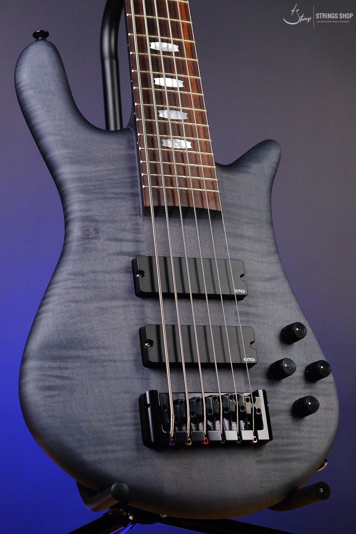 Spector Euro 6 LX - Transparent Black Stain Matte