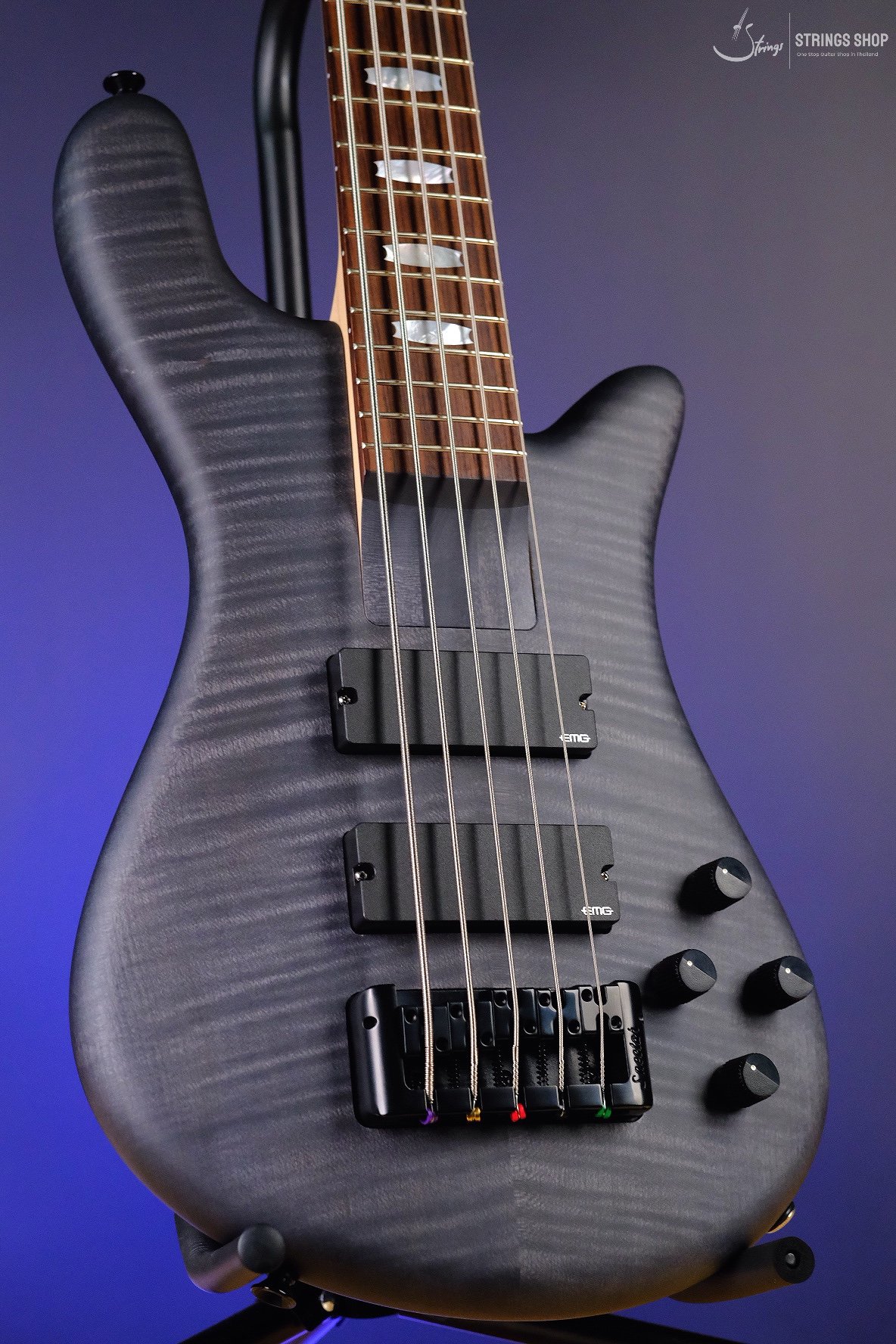 Spector Euro 5 LX Bolt-On - Transparent Black Stain Matte - stringsshop
