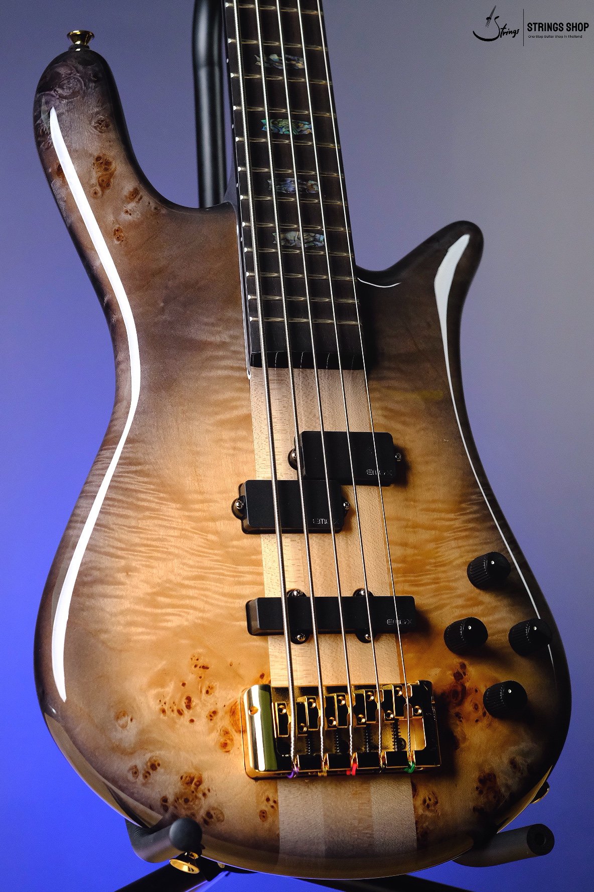 Spector Euro 5 CST - Natural Black Burst Gloss - stringsshop