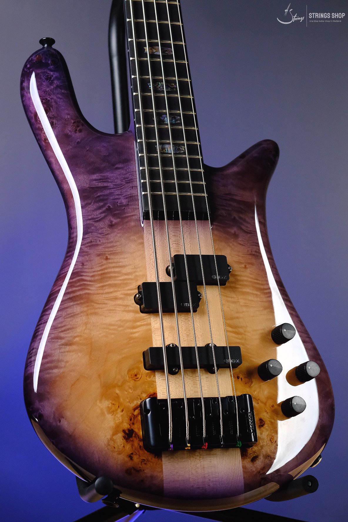 Spector Euro 5 CST - Natural Violet Burst Gloss - stringsshop