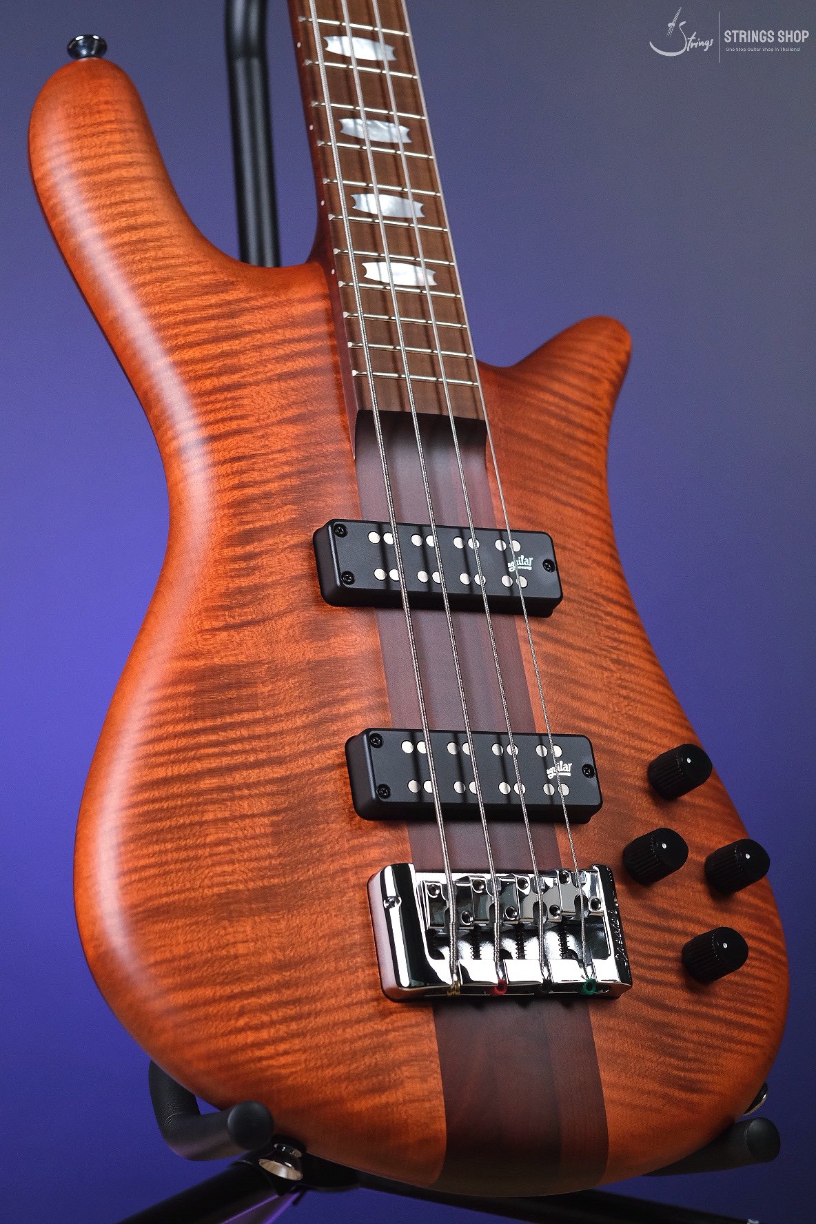 Spector Euro 4 RST - Sienna Stain Matte - stringsshop