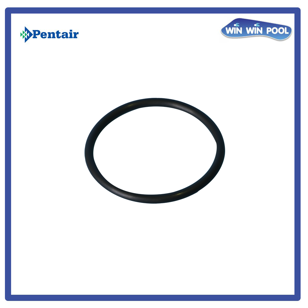 ซีลฝาครอบใบพัด [Diffuser Gasket] for WhisperFlo XF - winwinpoolshop