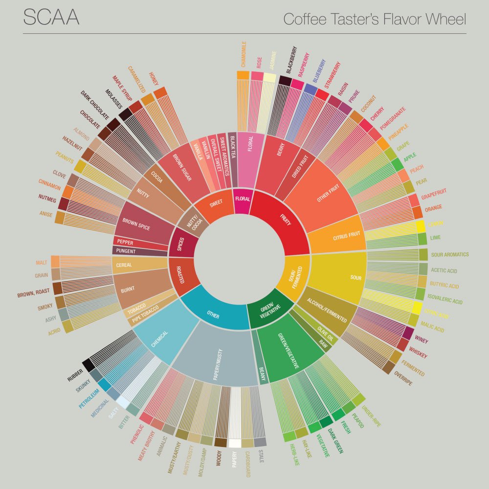 10 คำถามเกี่ยวกับ Coffee Taster's Flavor Wheel