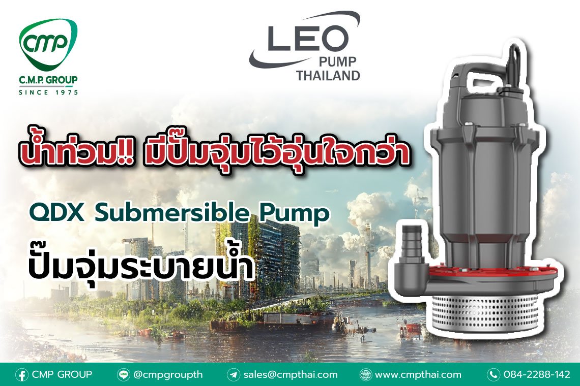 น้ำท่วม!! มีปั๊มจุ่มไว้อุ่นใจกว่า QDX Submersible Pump ปั๊มจุ่มระบายน้ำ - cmpthai