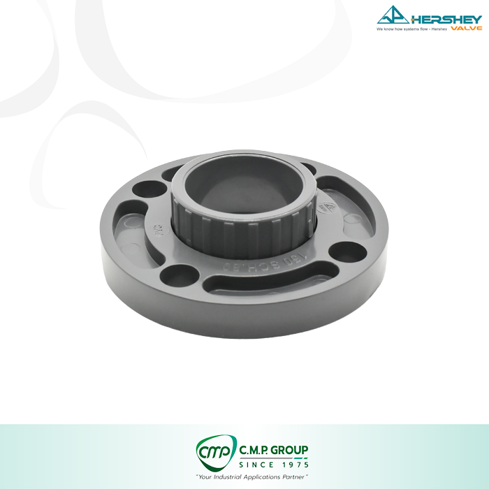 Van Stone Flange | CMP GROUP จำหน่ายฟิตติ้ง ยี่ห้อHERSHEY